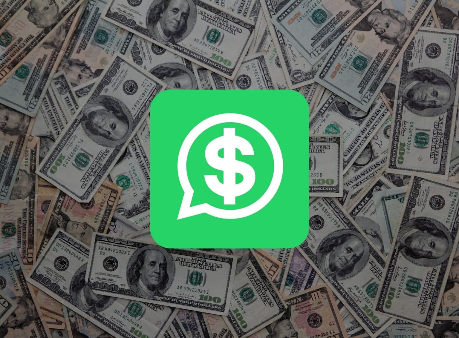 Bulo WhatsApp: Descubre el del Icono Azul y Otros Más