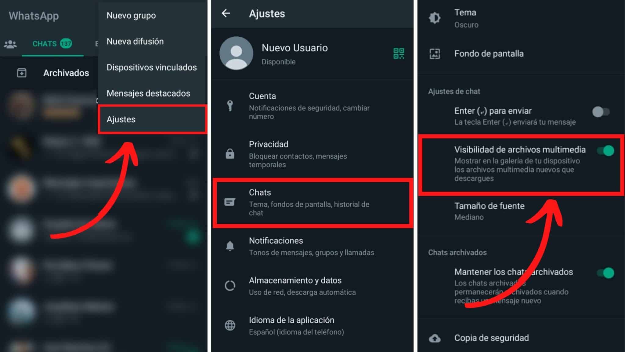 Cómo Descargar las Fotos de WhatsApp Fácil y Rápido Cómo Descargar las Fotos de WhatsApp Fácil y Rápido